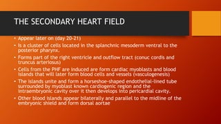 Cardiovascular System Embryology 2024 .pptx
