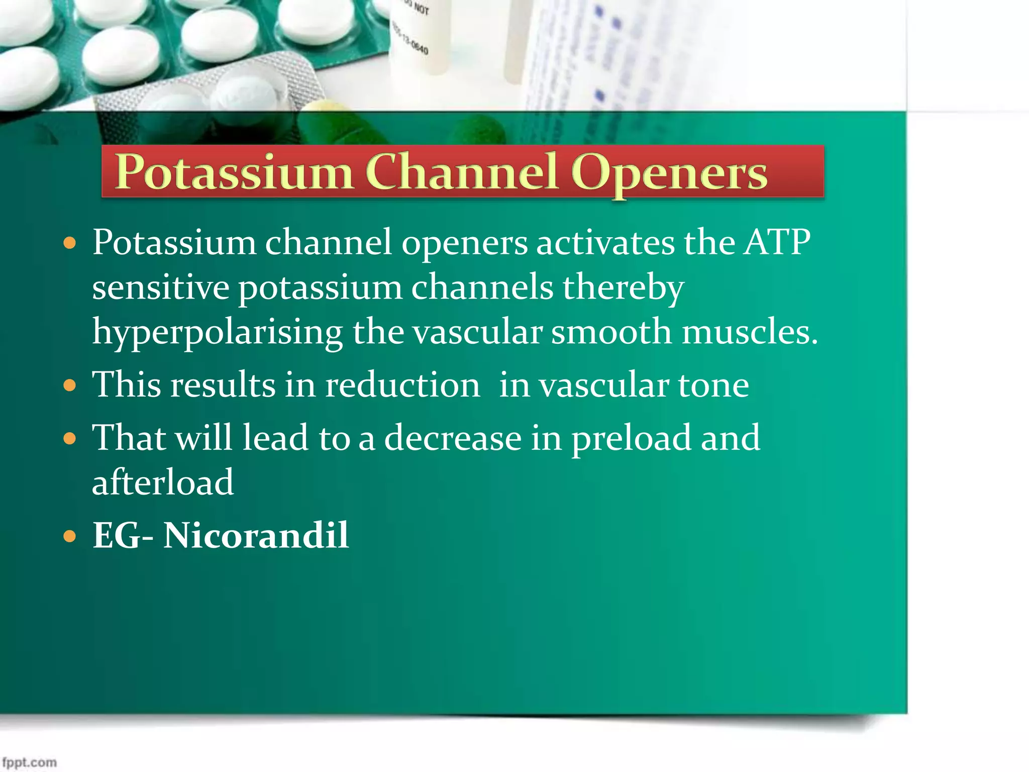 Cardiovascular System (Group2).pptx