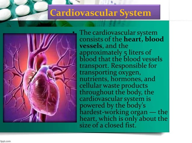 Cardiovascular System (Group2).pptx
