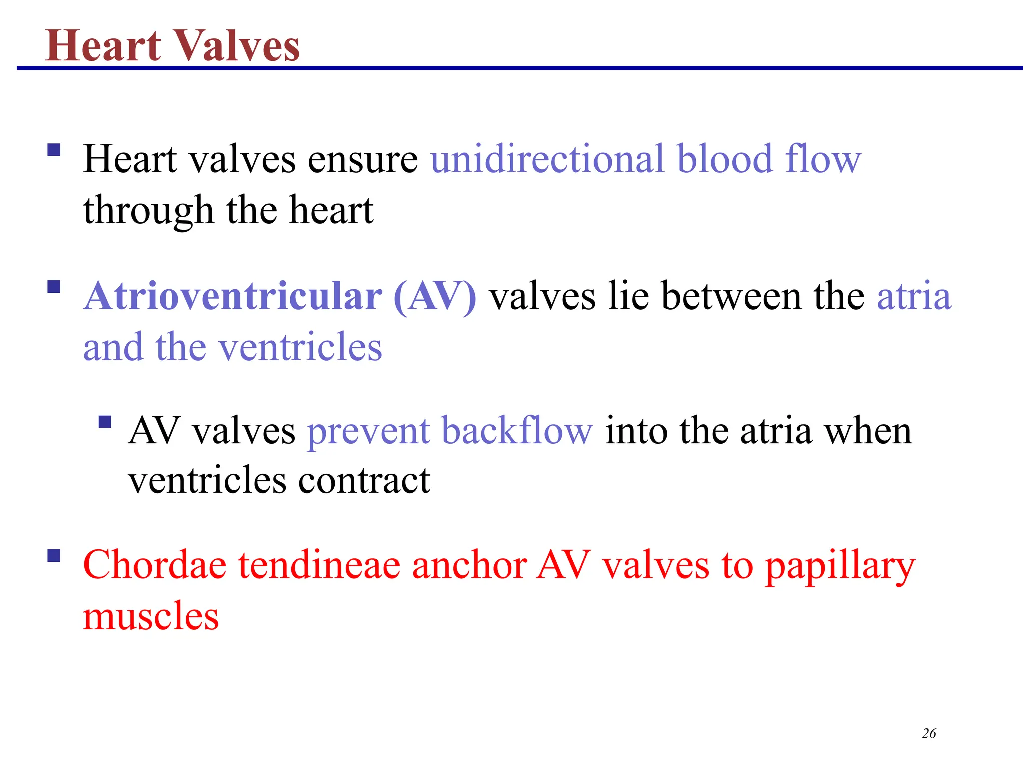 cardiovascular system and heart structure of heart | PPT