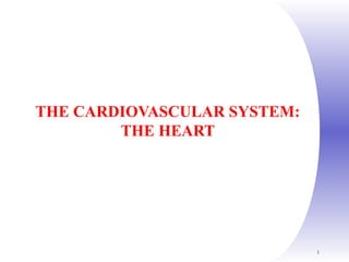 cardiovascular system and heart structure of heart | PPT
