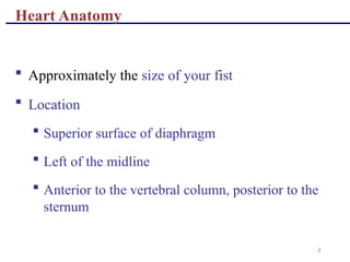 cardiovascular system and heart structure of heart | PPT