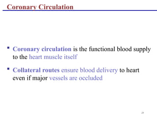 cardiovascular system and heart structure of heart | PPT