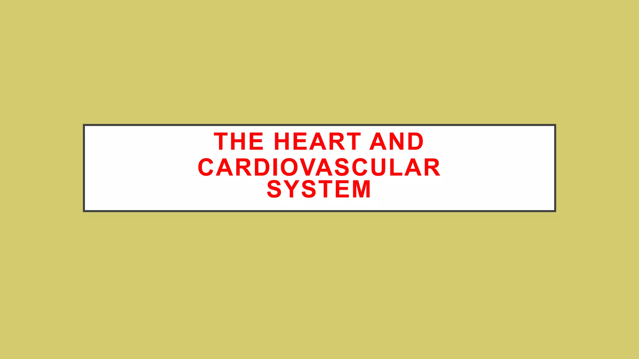 Cardiovascular system history taking | PPTX