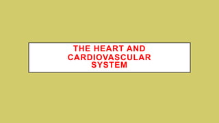 Cardiovascular system history taking | PPT