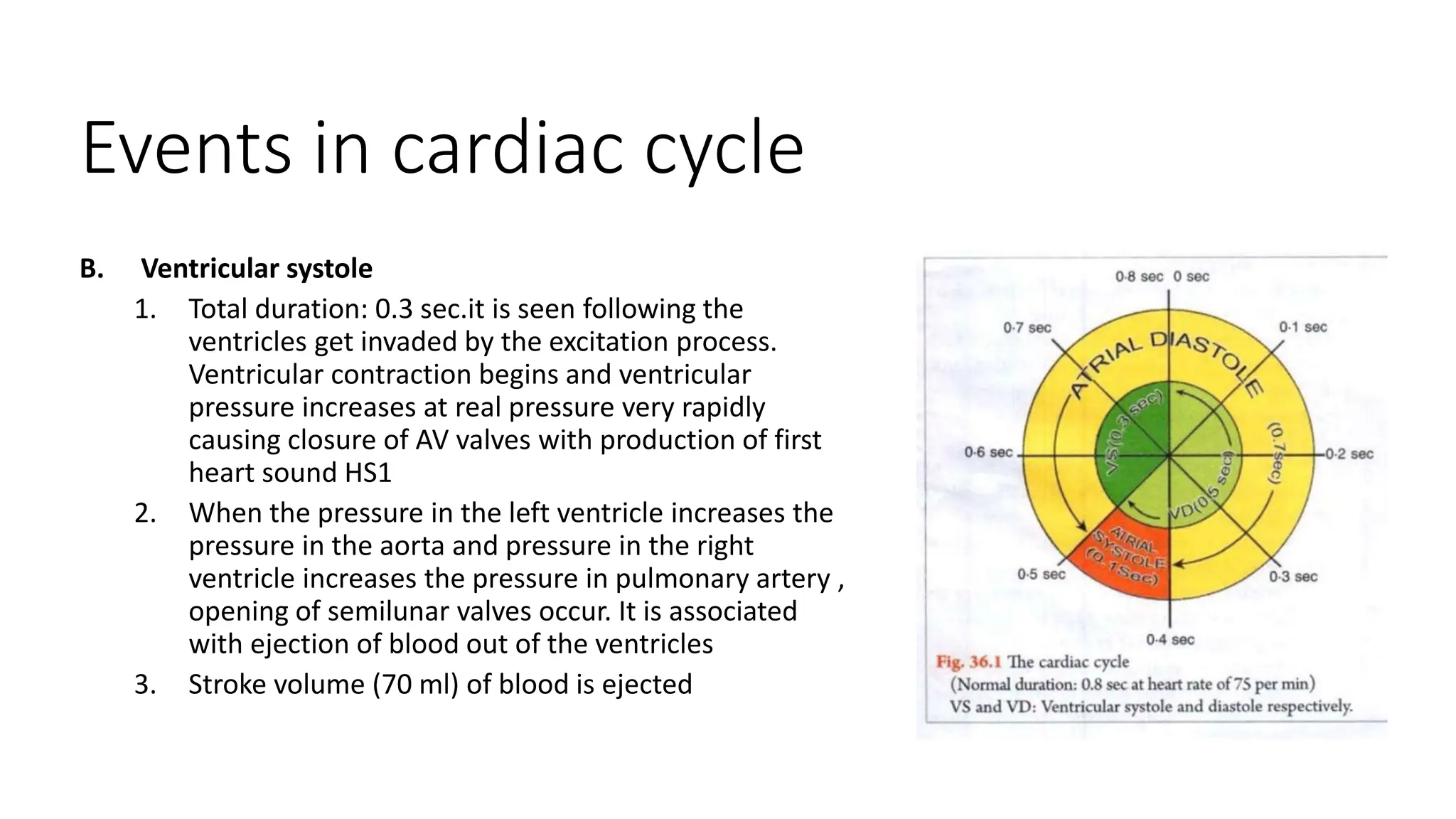 Cardiovascular system I.pptx