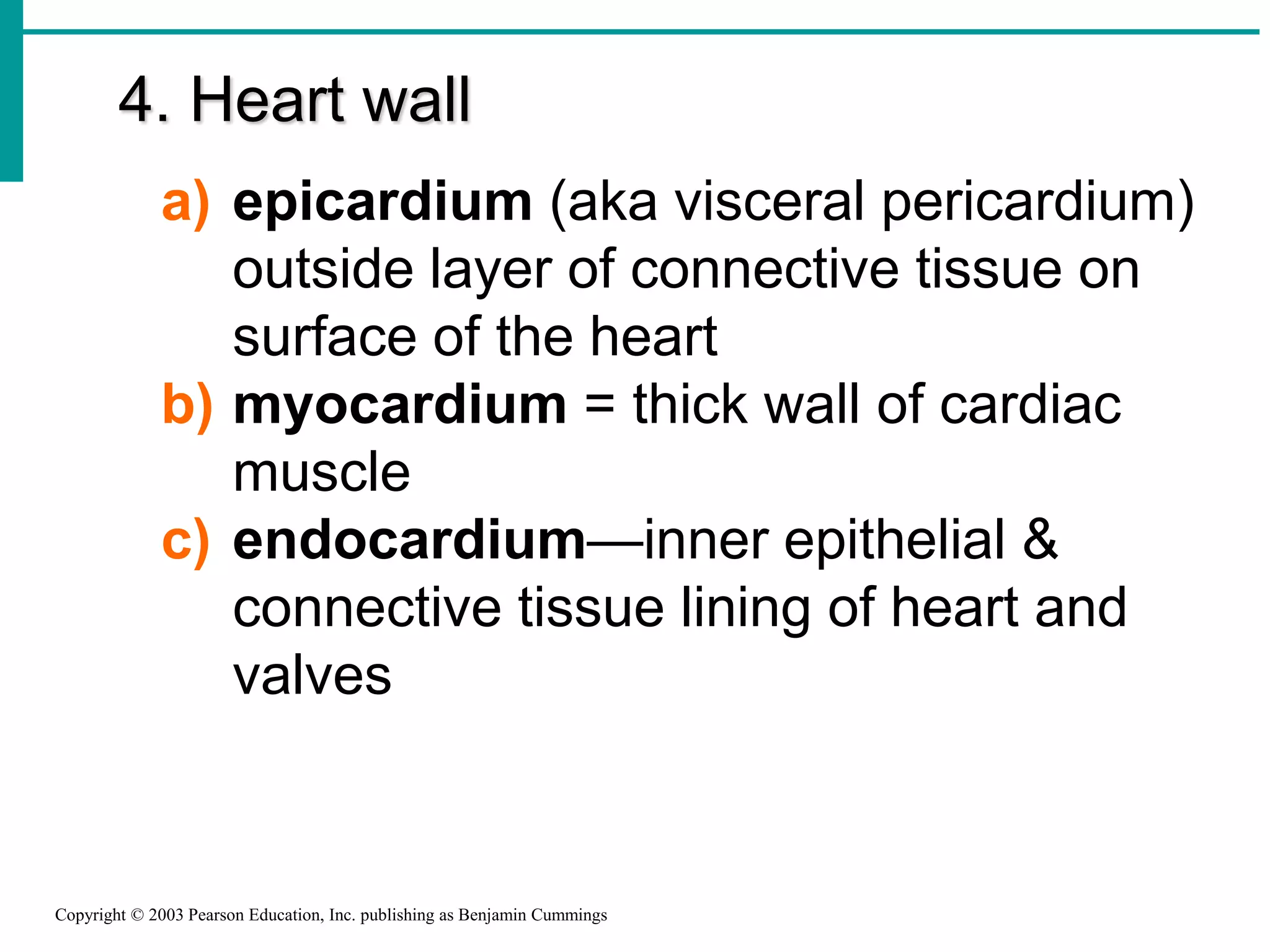 Cardiovascular System Marieb.ppt