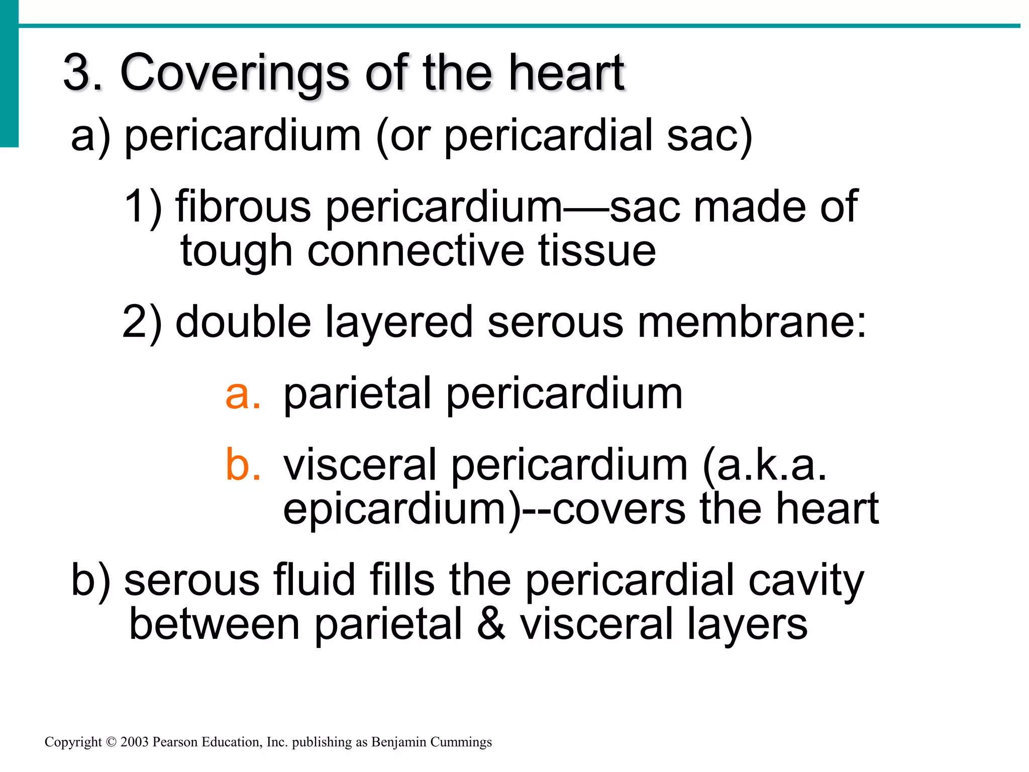 Cardiovascular System Marieb.ppt