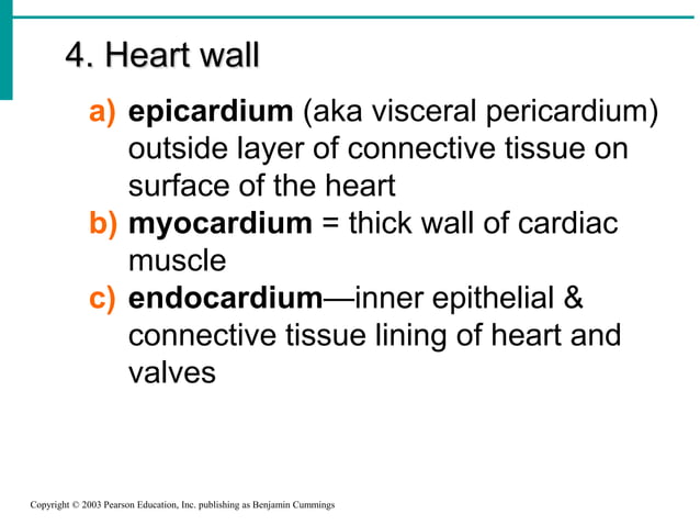 Cardiovascular System Marieb.ppt | Heart and Cardiovascular Diseases ...