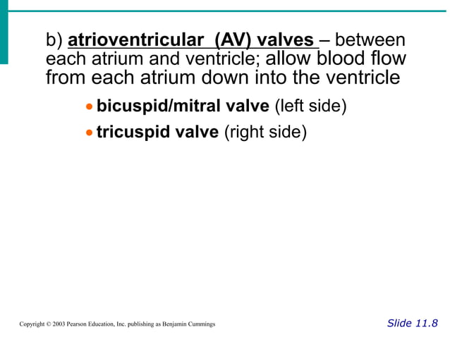 Cardiovascular System Marieb.ppt | Heart and Cardiovascular Diseases ...
