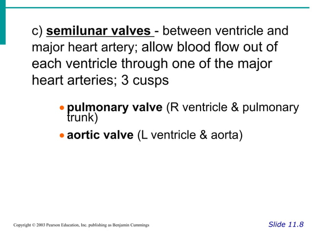 Cardiovascular System Marieb.ppt | Heart and Cardiovascular Diseases ...