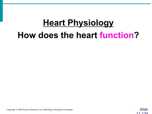 Cardiovascular System Marieb.ppt | Heart and Cardiovascular Diseases ...