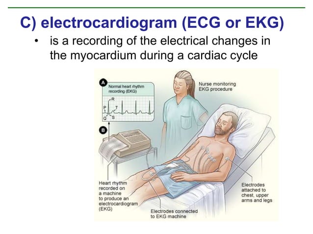Cardiovascular System Marieb.ppt | Heart and Cardiovascular Diseases ...