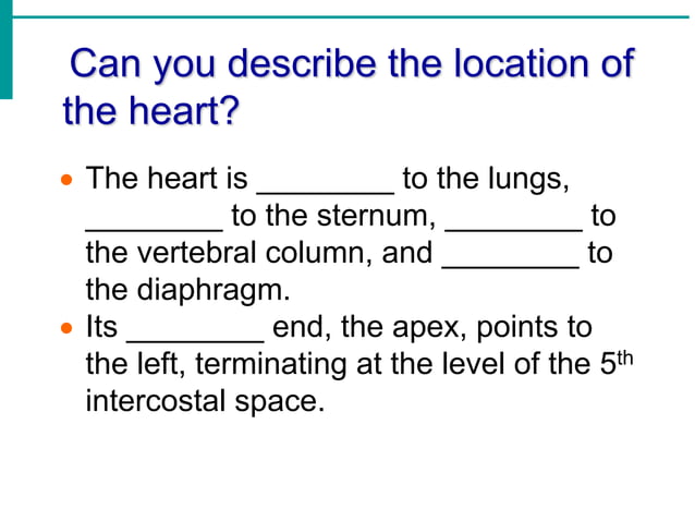 Cardiovascular System Marieb.ppt | Heart and Cardiovascular Diseases ...