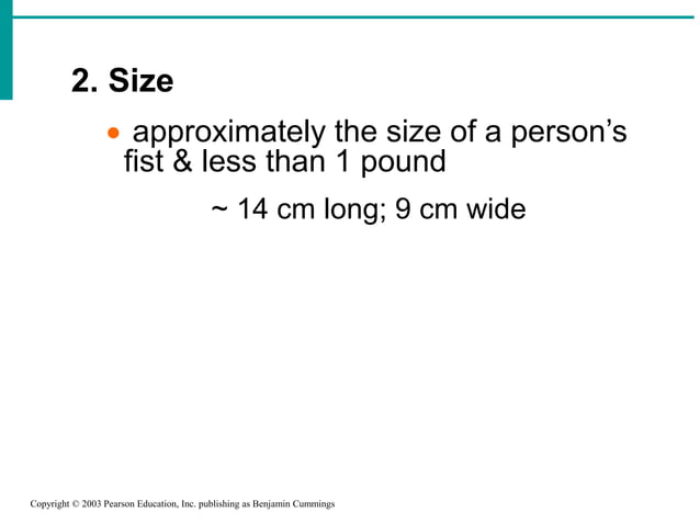 Cardiovascular System Marieb.ppt | Heart and Cardiovascular Diseases ...