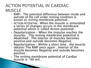 Cardiovascular system nikhil | PPTX