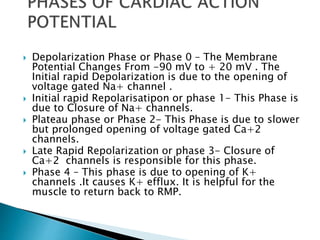 Cardiovascular system nikhil | PPTX