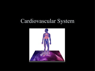 Cardiovascular System Notes | PPT