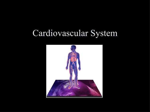 Cardiovascular System Notes | PPT | Heart and Cardiovascular Diseases ...