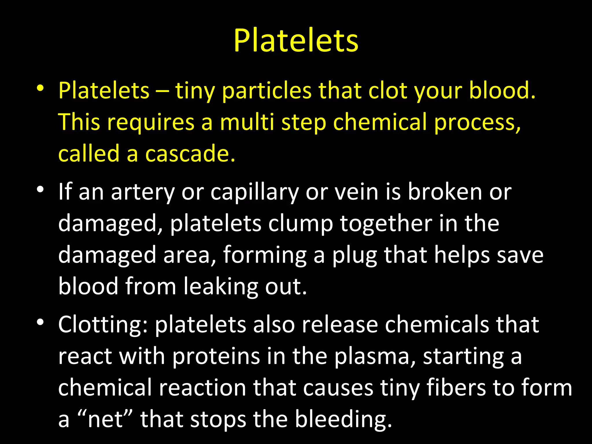 Cardiovascular system notes | PPT