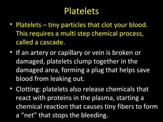 Cardiovascular system notes | PPT