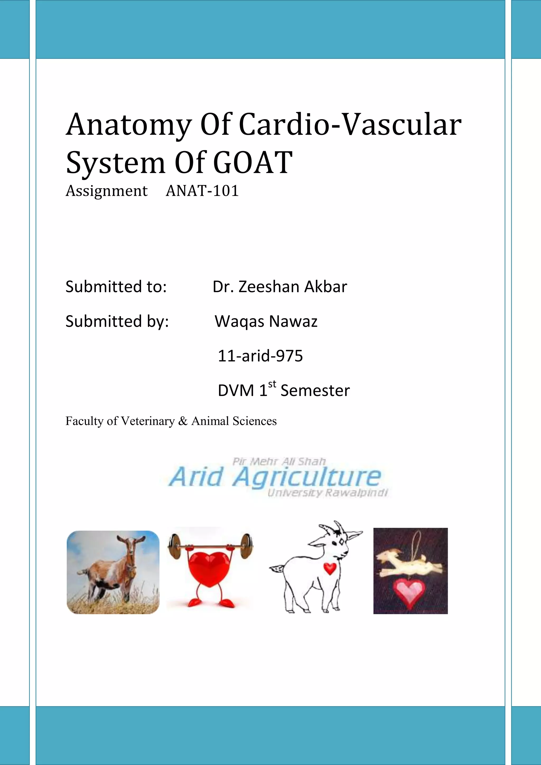 Goat Heart Location Cardiovascular System Of Goat | DOCX