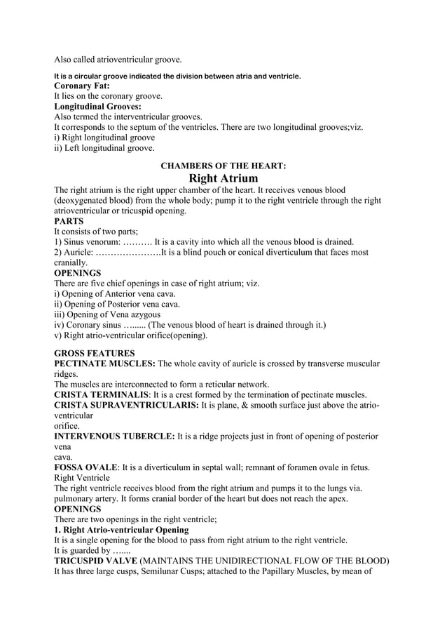 Cardiovascular system of goat | DOCX | Heart and Cardiovascular ...