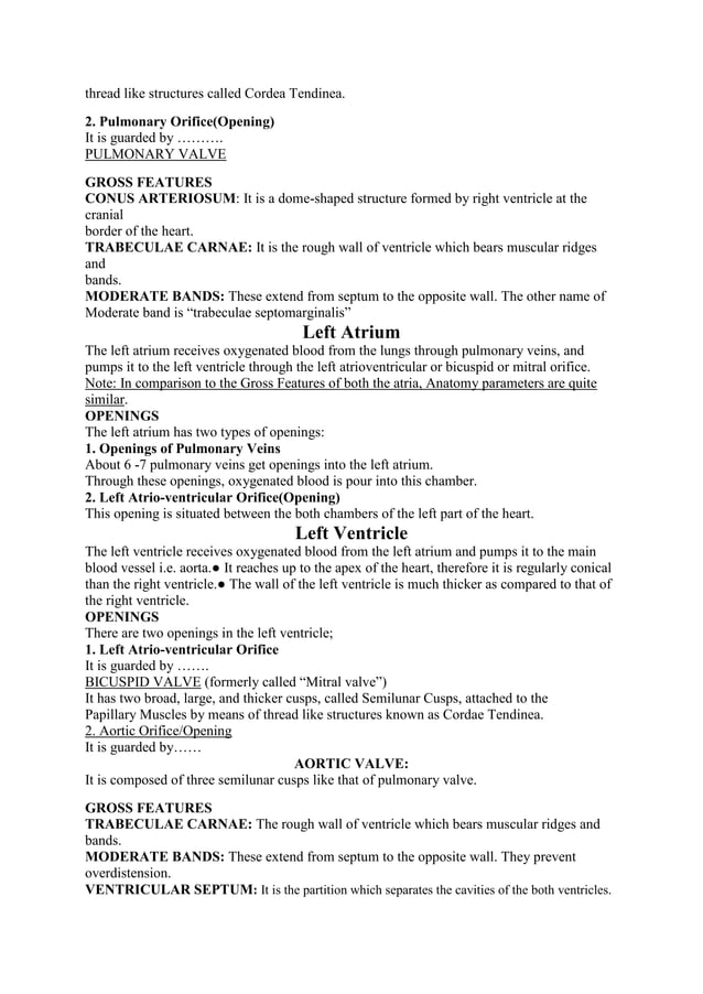 Cardiovascular system of goat | DOCX | Heart and Cardiovascular ...
