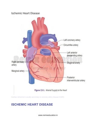 Cardiovascular system pathology | PDF