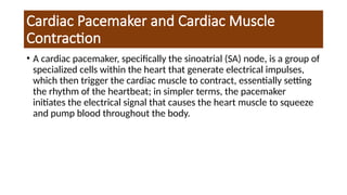 Cardiovascular System Physiology Lecture 1 By Dr Irshad khan.pptx