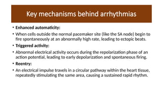 Cardiovascular System Physiology Lecture 1 By Dr Irshad khan.pptx