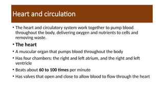 Cardiovascular System Physiology Lecture 1 By Dr Irshad khan.pptx