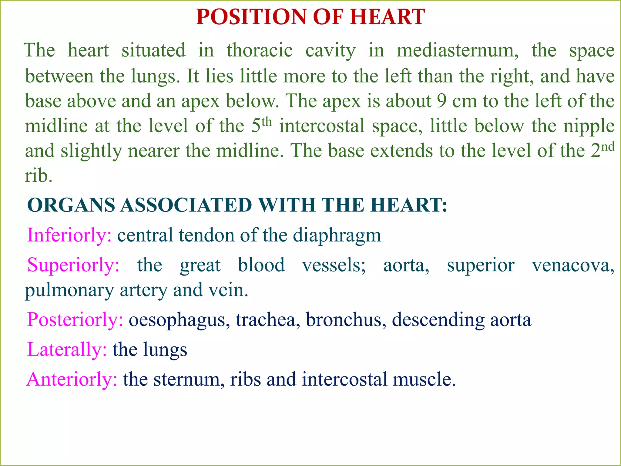 Cardiovascular system ppt | PPTX