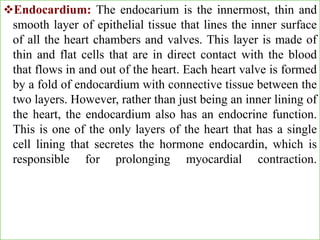 Cardiovascular system ppt | PPTX