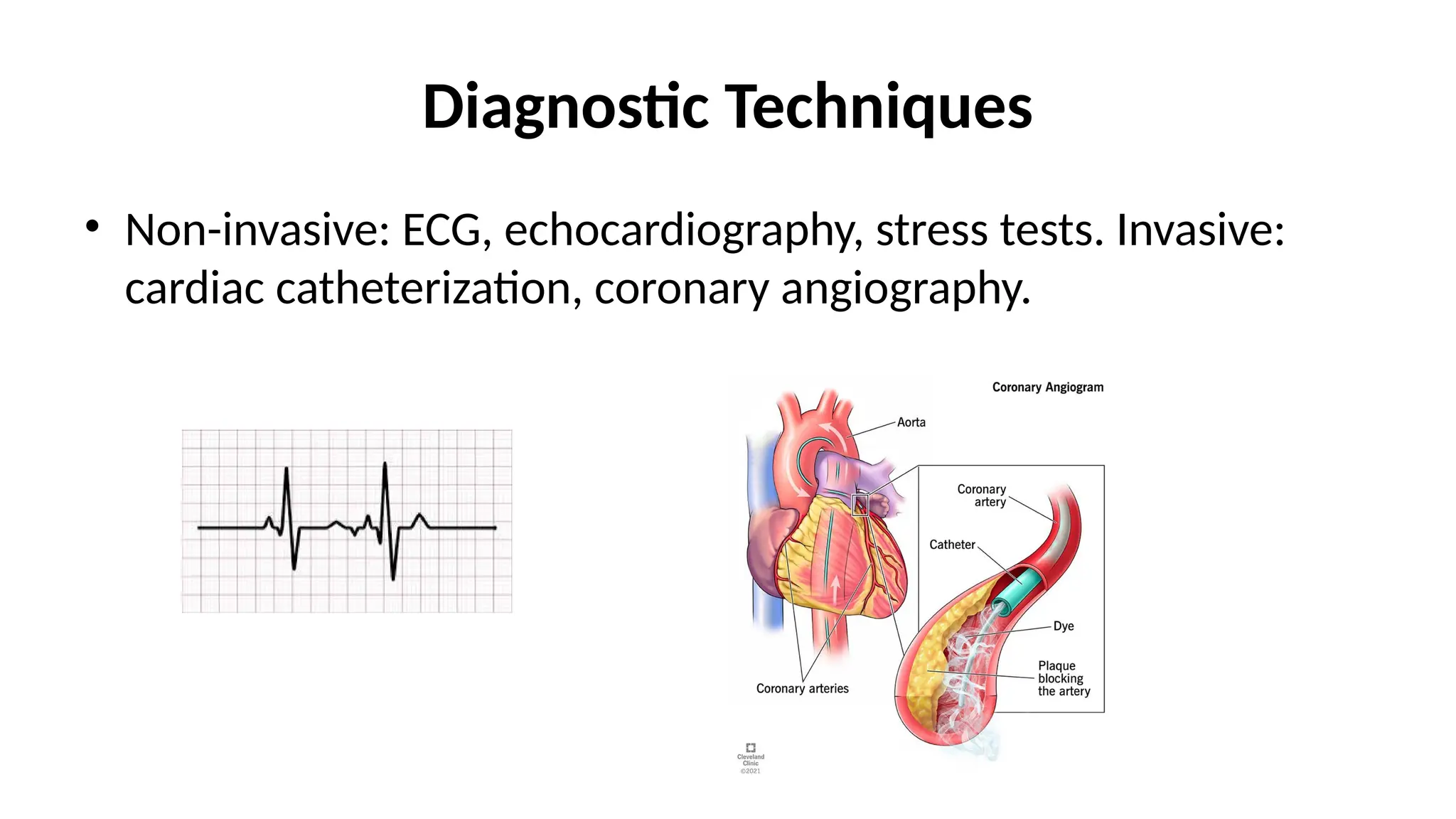 Cardiovascular System cardiology Presentation.pptx