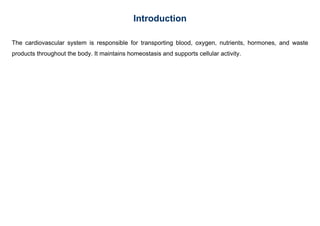 Easy Cardiovascular_System_Presentation.pdf