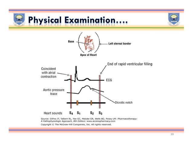Cardiovascular testing | PDF | Heart and Cardiovascular Diseases ...