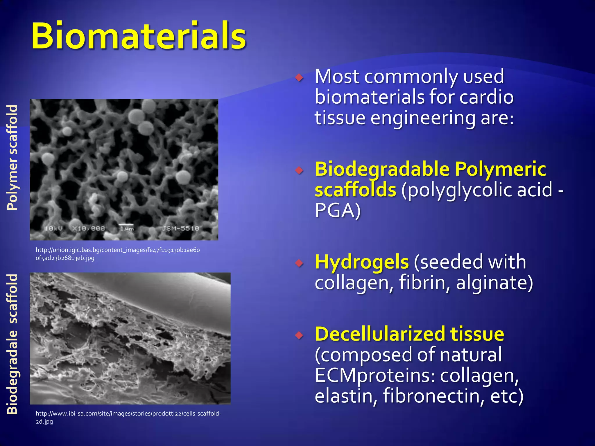 Cardiovascular Tissue Engineering | PPTX
