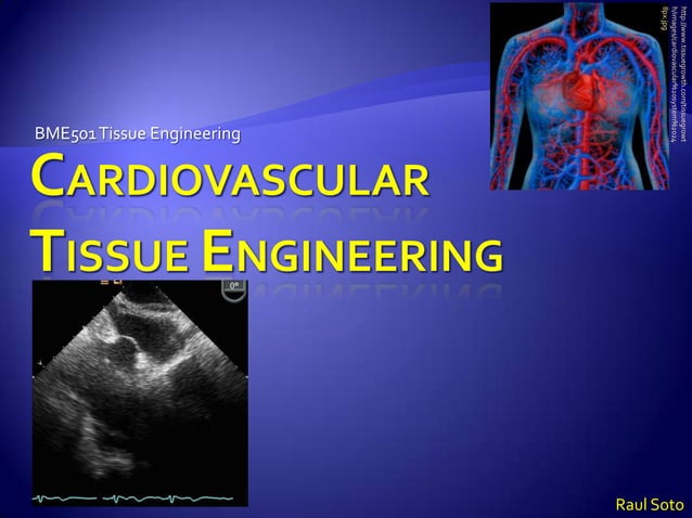 Cardiovascular Tissue Engineering | PPTX