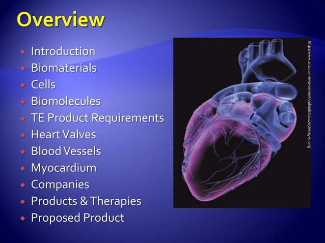 Cardiovascular Tissue Engineering | PPTX