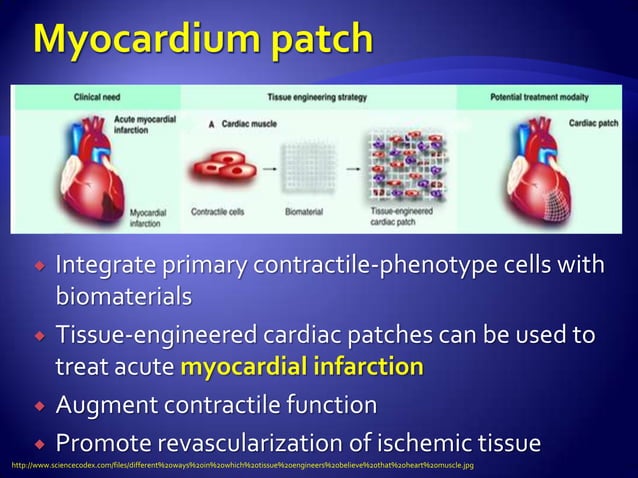 Cardiovascular Tissue Engineering | PPTX