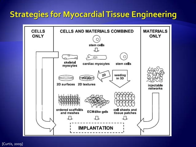 Cardiovascular Tissue Engineering | PPTX