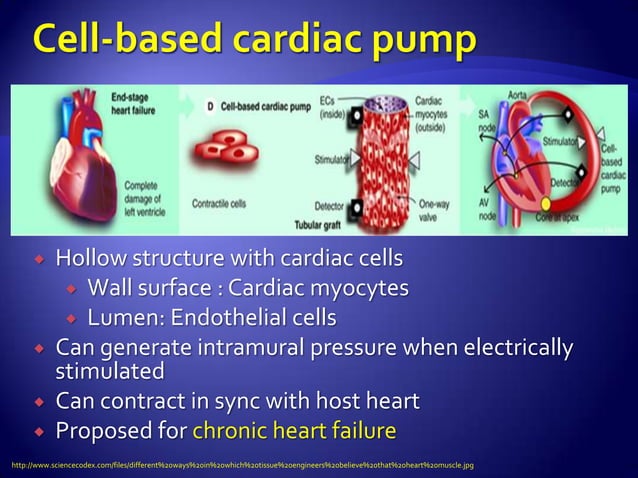 Cardiovascular Tissue Engineering | PPTX