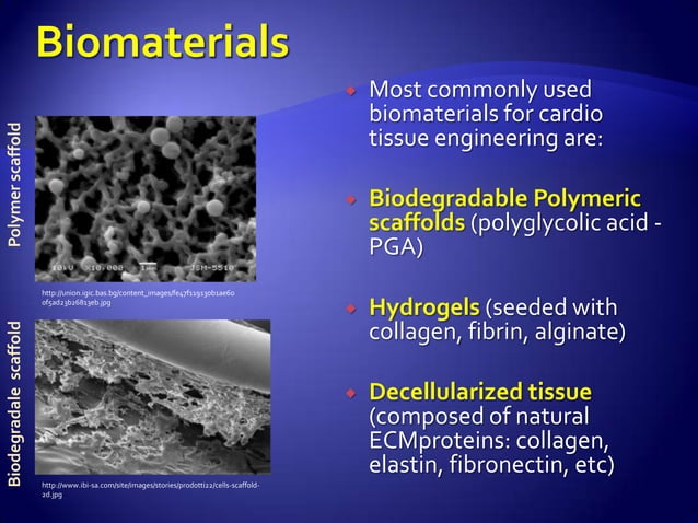 Cardiovascular Tissue Engineering | PPTX