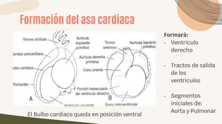 CARDIOVASCULAR Y SUS ANOMALIAS - copia.pptx