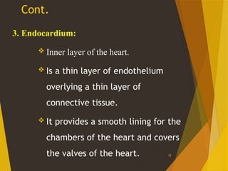 Comprehensive Overview of the Human Heart and Cardiovascular System ...