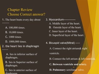 Comprehensive Overview of the Human Heart and Cardiovascular System ...