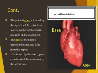 Comprehensive Overview of the Human Heart and Cardiovascular System ...