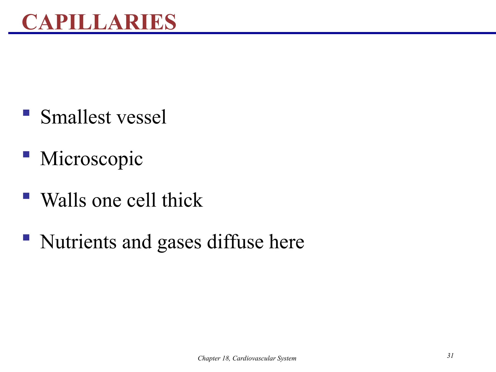 CARDIOVASCULAR SYSTEM - ANATOMY & PHYSIOLOGY | PPT