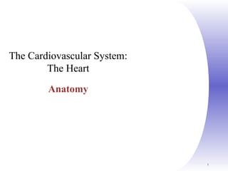 CARDIOVASCULAR SYSTEM - ANATOMY & PHYSIOLOGY | PPT